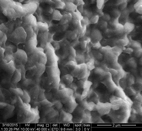 B Sem Micrograph Of R Eutropha C Before Biosorption D After
