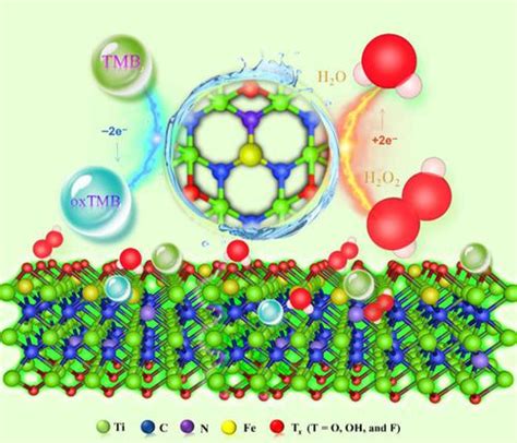 具有 Fe N1c2 结构的不对称配位单原子铁纳米酶：一种用于检测褪黑激素的过氧化物酶模拟物 Nano Research X Mol