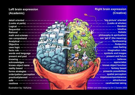 Brain Jack Image Brain Function Chart