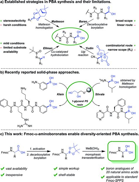 Strategies For The Synthesis Of Peptide Boronic Acids A Commonly Download Scientific Diagram