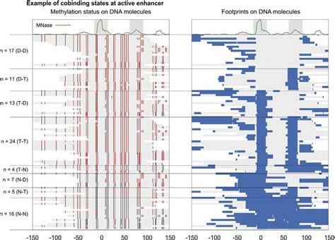 A Computational Pipeline To Visualize Dna Protein Binding States Using