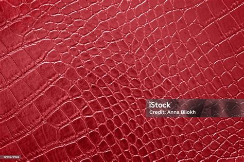 레드 악어 텍스처 가죽 광택 인공 패턴 적갈색 기울기 배경 추상 악어 드래곤 공룡 옴브레 피부 매크로 사진 용에 대한 스톡 사진