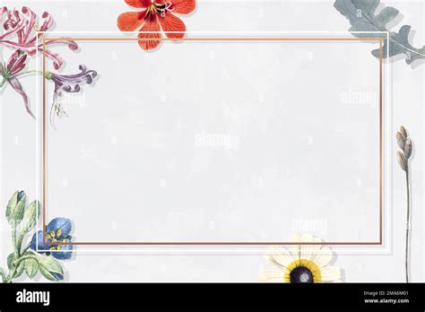 Gold Frame With Flowres Vector Stock Vector Image And Art Alamy