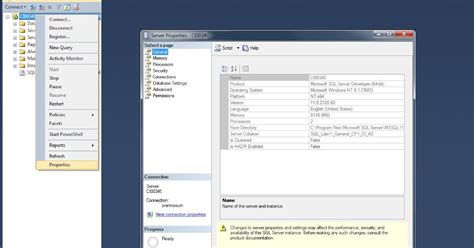 Microsoft Sql Server Integration Services Limit Memory Usage Sql Server