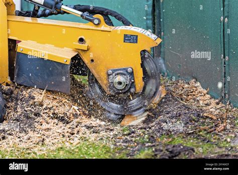 Tree Root Cutter Stock Photo Alamy