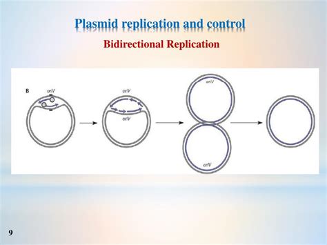 Ppt Plasmids Powerpoint Presentation Free Download Id 2264168