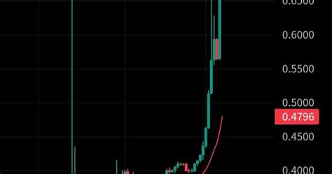 와 네스 코인니스