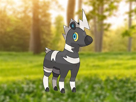 Blitzle Evolution