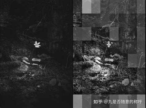 Opencv Algorithm：based On Python And C，限制对比度的自适应直方图均衡化clahe 知乎