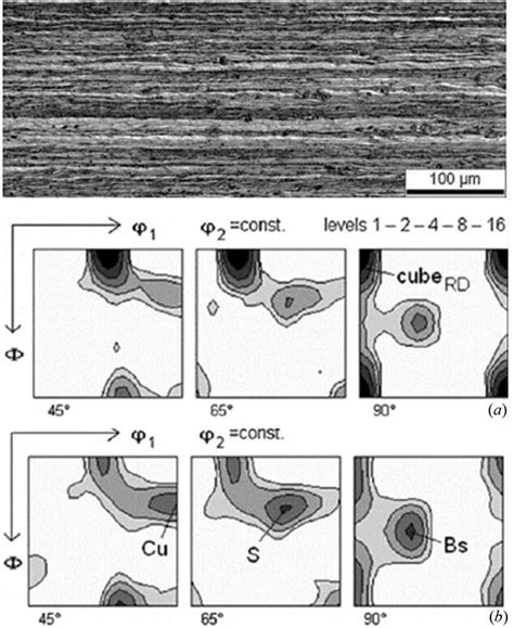 Iucr Evolution Of Microstructure And Crystallographic Texture Throughout The Rolling Process