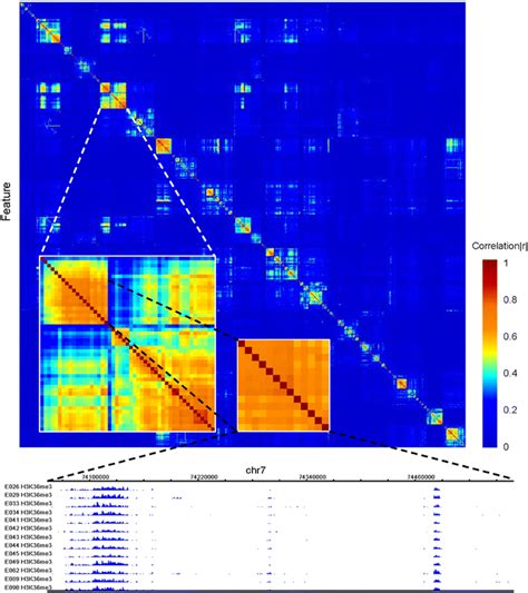 Correlation Of All Selected Regulatory Elements The Correlation Matrix