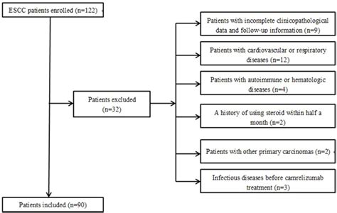The Flowchart Of The Enrollment Process Download Scientific Diagram