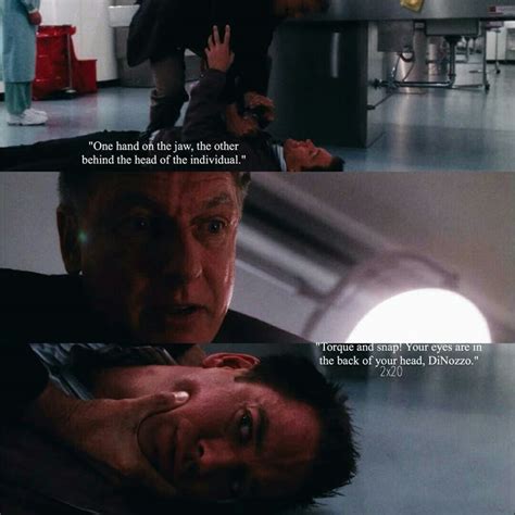 Pin By Jessica Evans On Ncis Ncis Ncis Funny Gibbs Ncis