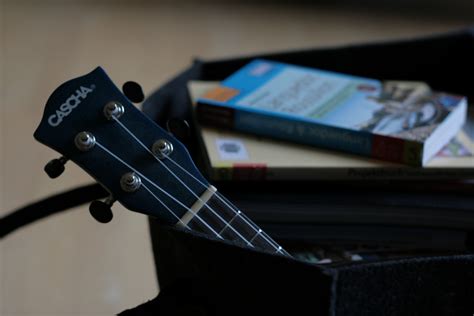 무료 이미지 휴일 프랑스 우쿨렐레 여가 매크로 기타 액세서리 현악기 액세서리 뽑아 낸 현악기 출판 목재 강청색 전자 기타 음악가 전자 기기