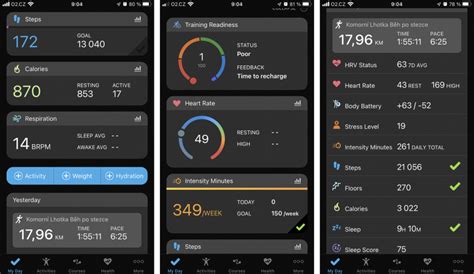 Garmin Connect Mobile App Guide Hodinky