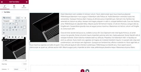 how to use the text editor widget