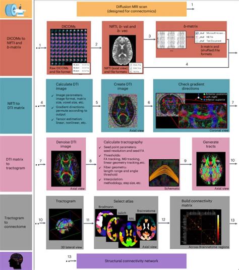 The Life Medical Podcast On Linkedin Tutorial A Guide To Diffusion Mri And Structural