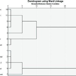 Dendrogram Of Hierarchical Cluster Analysis Obtained By Ward S