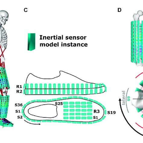 A Illustration Of Inertial Sensor Models Attached To A Biomechanical Download Scientific