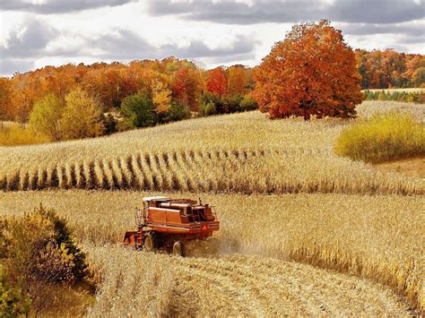 Harvest Hot Sex Picture