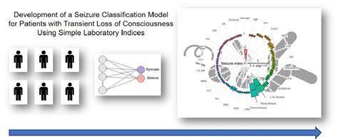 Seizure Classification