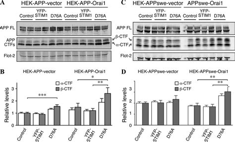 Constitutive Activation Of Soce Leads To Accumulation Of App Ctfs A Download Scientific