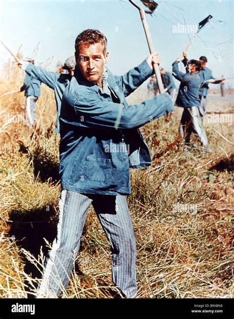 Cool Hand Luke Wallpaper