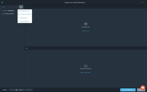 Udacity Workspace Instructions
