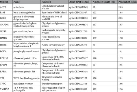 Primers Of Candidate Reference Genes Download Scientific Diagram