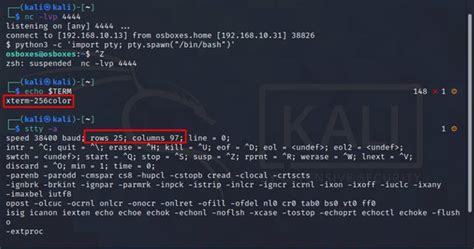 Ncexe Netcat Netcat Attack Cases Targeting Ms Sql Servers Lolbins