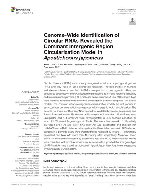 Pdf Genome Wide Identification Of Circular Rnas Revealed The Dominant