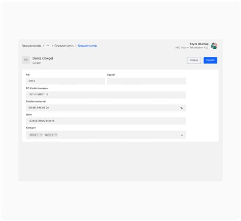 Form Input — Frame Design System A System For Financial Systems