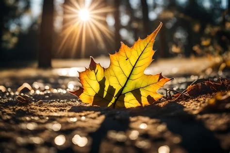 Premium Ai Image A Leaf That Is On A Ground With The Sun Shining Through It