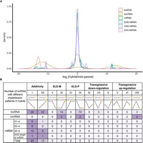 Additive And Non Additive Ncrnas In Hybrids A Ratio Distribution Of
