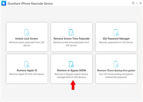 Iphone Passcode Genius Guide—remove Various Locks On Iphone Ipad Ipod