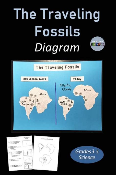 3rd Grade Science Ngss Fossils And Types Of Fossils Activities Ngss 3