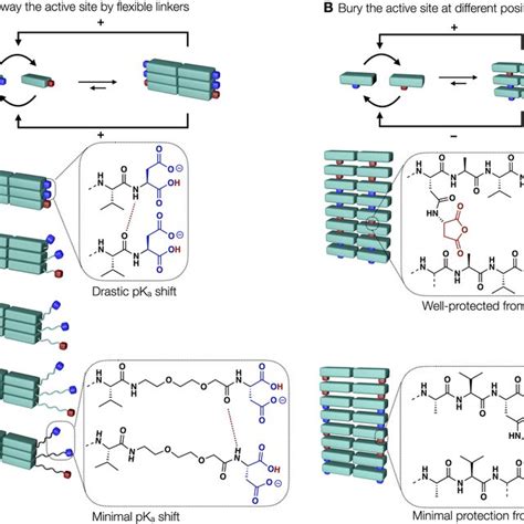 Molecular Design Strategies To Control Reciprocal Coupling And The Download Scientific Diagram