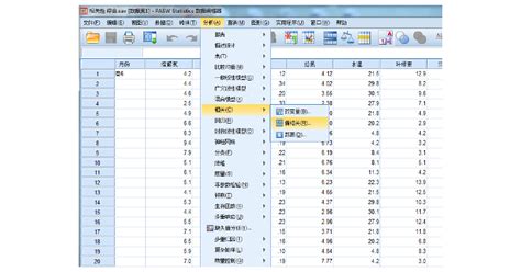spss相关性分析 pearson相关与偏相关分析的实现 步骤 word文档免费下载 亿佰文档网
