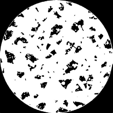 Same As Fig 3 But Thresholded Into Solids White And Pores Black