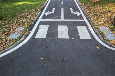 Road Driving Classes Stock Image Image Of Road Driving 64211133