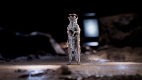 Unreal Engine Hat Etwas Auf Linkedin Gepostet