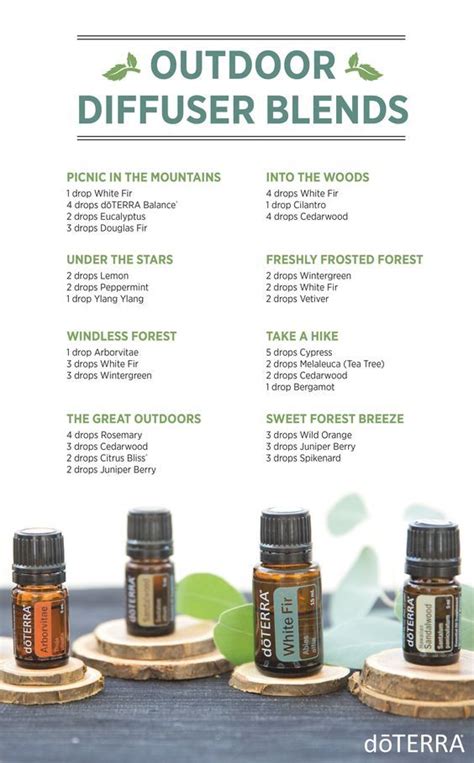 1000 Images About Diffuser Blends On Pinterest Diffusers Essential Oils And Oil Diffuser
