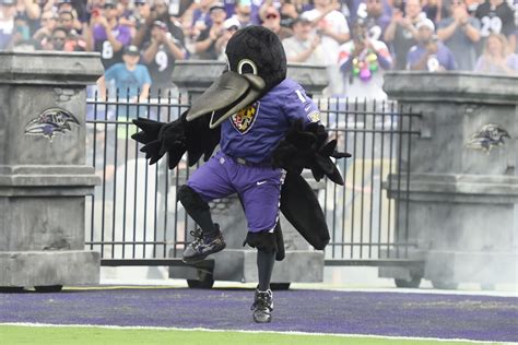 Blitz Vs Poe Mascot Rivalries And Their Impact On The Game Whiteclouds