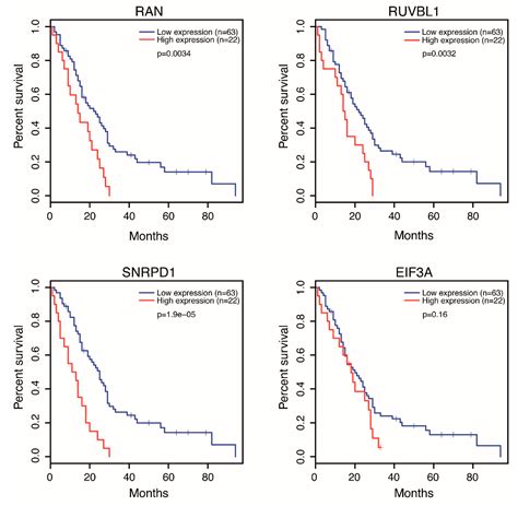 How To Diagnose Copd On Pft