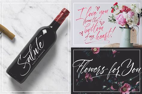 an elegant and rounded script font to add to your designs script fonts holiday vectors