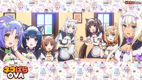Nekopara Wallpapers Wallpaper Cave