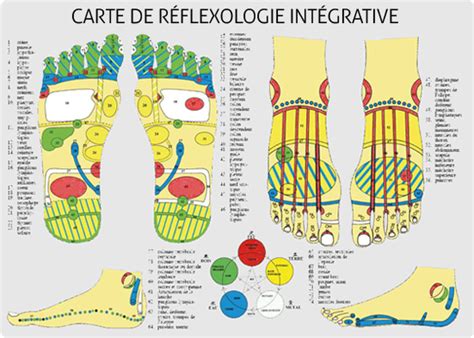 La Réflexologie Intégrative Sandrine Reflexologue