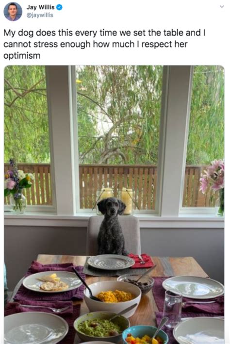 The Funniest Thing Ive Ever Seen In My Life This Week 30 Photos