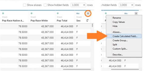 Tableau Module 4 Creating And Hiding Columns