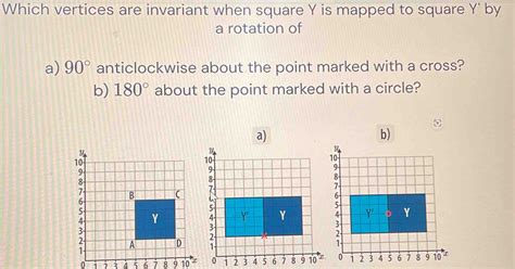Solved Which Vertices Are Invariant When Square Y Is Mapped To Square
